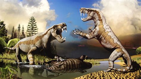 Paleontologists Discover Ancient Fossil From The Oldest Known Saber