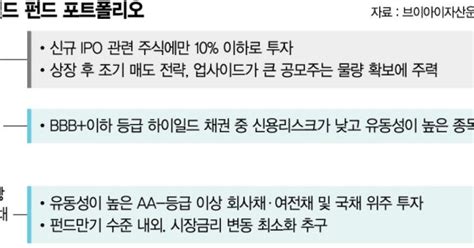 채권·공모주 동시투자하반기 대어급 상장땐 초과수익 이런 펀드 어때요 채권·공모주 동시투자하반기 대어급 상장땐 초과수익 이런 펀드 어때요