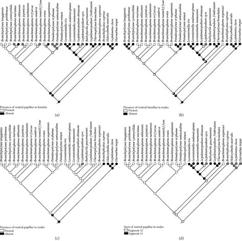 Bayesian Inference Bi Tree Topology From Concatenated Data With
