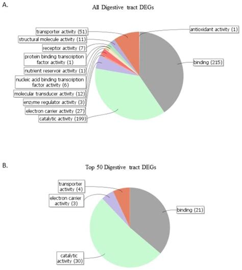 Top Panel Shows The Distribution Of Go Functional Categories For All Download Scientific