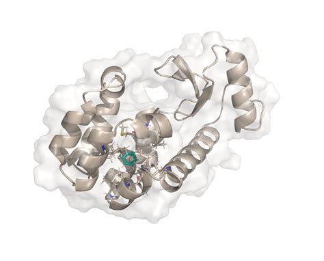 Running A Molecular Dynamics MD Simulation Of A Protein Ligand