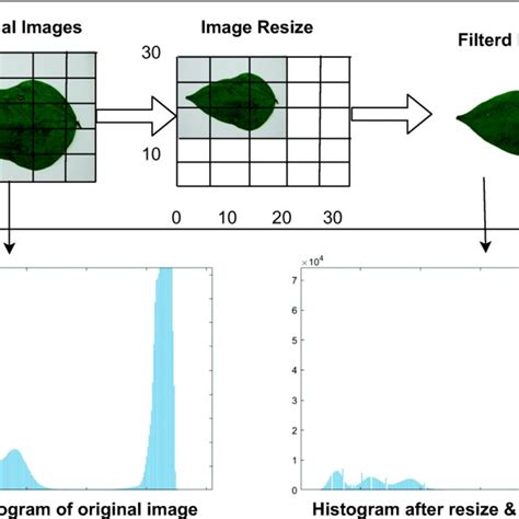Histogram Of Images Before And After Preprocessing Download