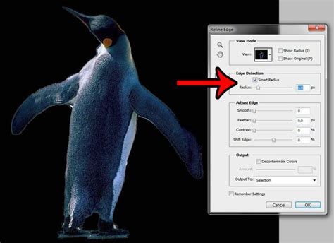 How To Fill A Background Layer In Photoshop CS Solve Your Tech
