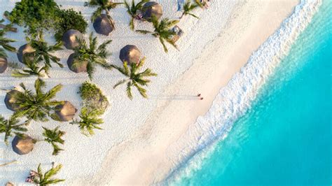 Survey Sampling Methods And Techniques Lucid