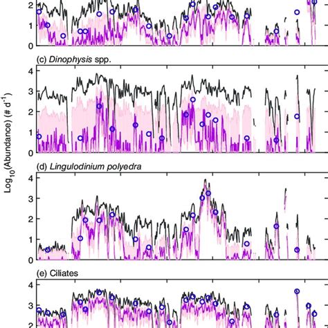 Abundance Time Series In Numbers Of Organisms Per Day D À1 Download Scientific Diagram