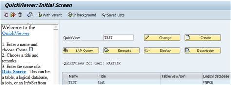 Develop A Report Using SAP Query Viewer SQVI SAP HCM A Complete