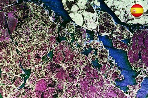 Introduction To Polarimetric Sar Eo College