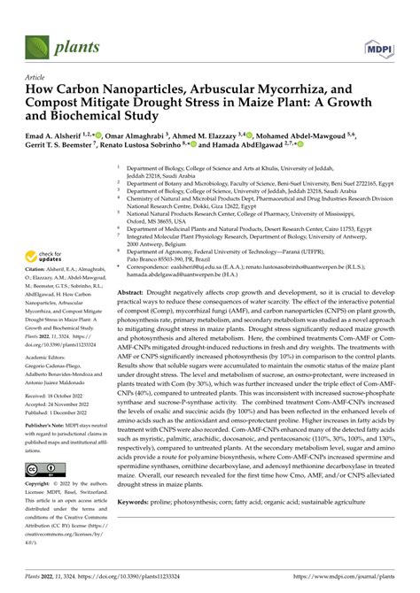 Pdf How Carbon Nanoparticles Arbuscular Mycorrhiza And Compost