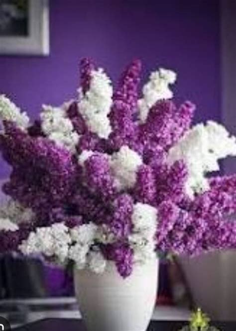 ნერგები და მცენარეები Facebook