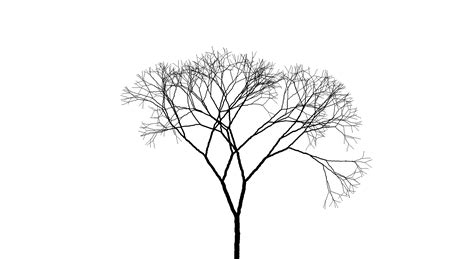 Tree Line Drawing At Explore Collection Of Tree Line Drawing