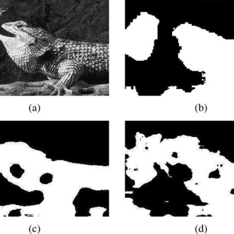 Texture Segmentation A Original Image B Texture Map Using Ss