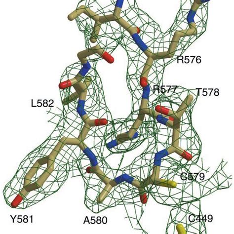 Pdf A Glycyl Radical Site In The Crystal Structure Of A Class Iii