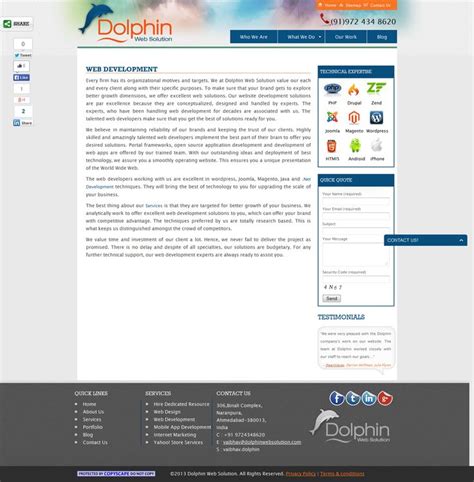 Website Development Company Dolphin Web Solution Is A Professional Web Development Comp