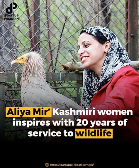 Alizay Khan Posted On Linkedin