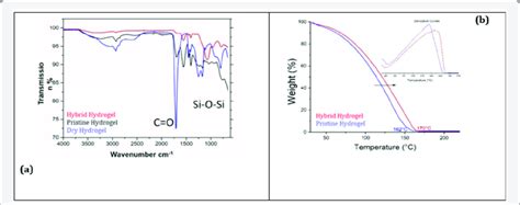 Atr Ftir A And Tga Dtga B Of Pristine And Hybrid Hydrogels Download Scientific Diagram