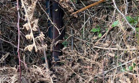 Кривична пријава због илегалног оружја у Андријевици ИН4С