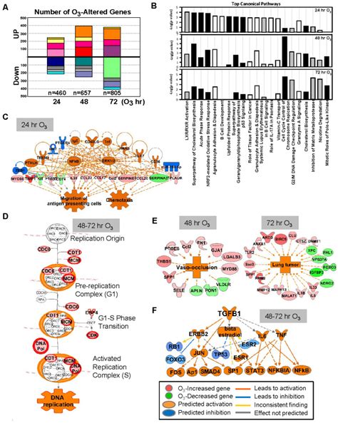 Transcriptomics Underlying Pulmonary Ozone Pathogenesis Regulated By Inflammatory Mediators In
