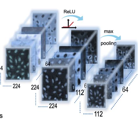 Nbis Workshop In Neural Nets And Deep Learning Nmi