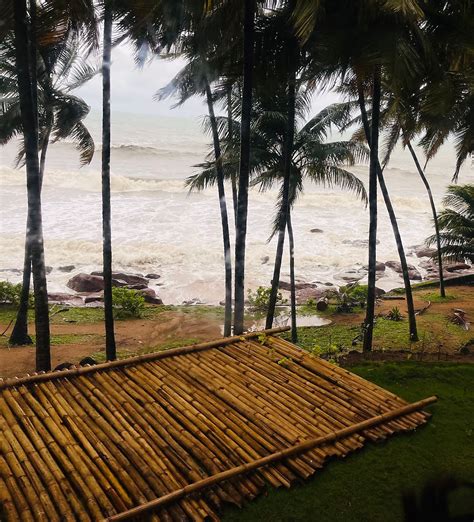 Photos Of Soneca Cola Beach Your Beach Stay Camp In Goa
