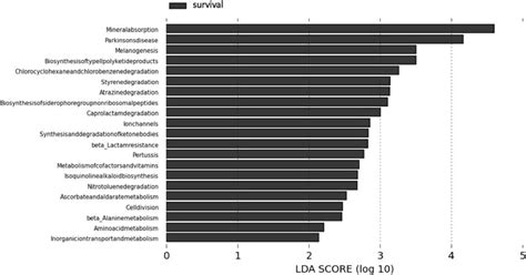 Lefse Plot Showing 21 Predicted Metagenome Pathways From Picrust