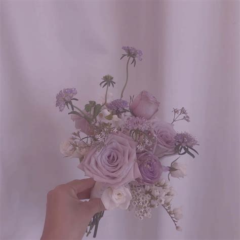 Download Violet Aesthetic Pictures