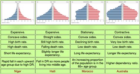 Diagram Of Population Pyramids Quizlet