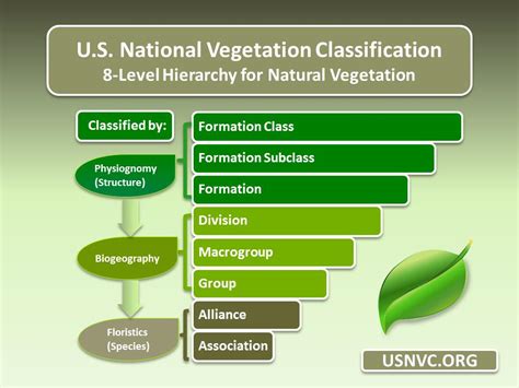 Usnvc Full Release Esa Vegetation Classification Panel