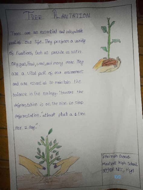 Tree Plantation India NCC