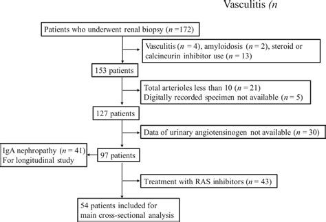 Association Of Urinary Angiotensinogen With Renal Arteriolar