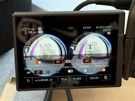 R5c Video Zebra Display Bug With Latest Firmware Canon Community