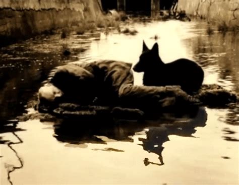 Andrei Tarkovskys Stalker 1979  On Imgur