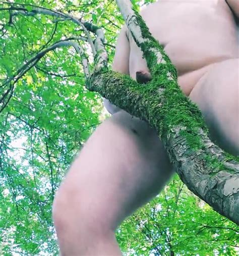 Sex With Trees
