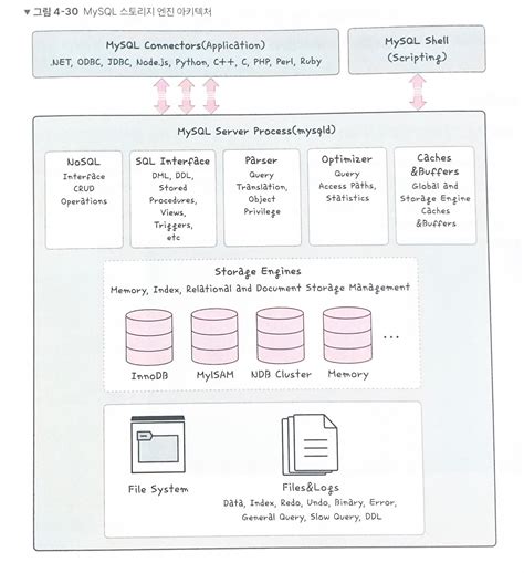 Database 데이터베이스의 종류