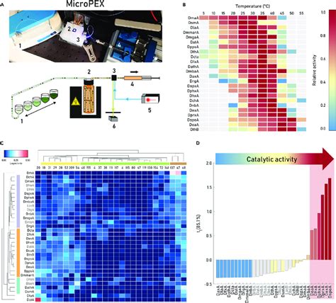 Temperature Profiles And Substrate Specificity By Droplet Based Download Scientific Diagram