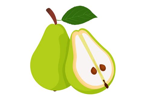 Pear And Half Pear Vector Illustration 7818443 Vector Art At Vecteezy
