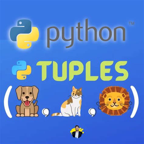 Python Tuples A Python Tuple Is A Sequence Of Objects By Kemal Subhashana Medium