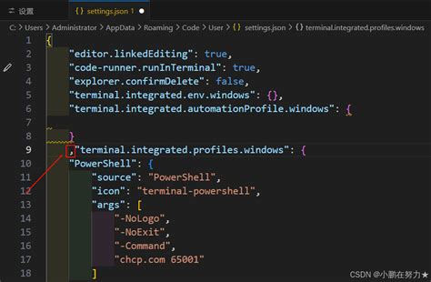vscode无法写入用户设置 csdn博客