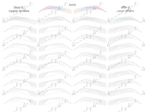 Microblading Patterns Nanoblade Pattern Basic Advance Curve S Shape Step By Step Pattern