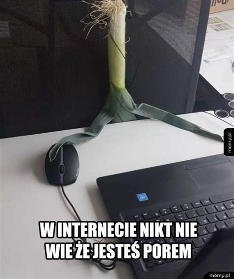 Żodyn Memy Pl