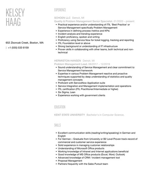 Problem Management Resume Samples Velvet Jobs