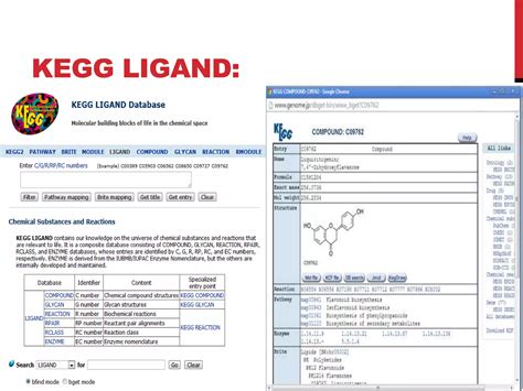 kegg database resources pptx