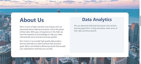 Data Analysis Company Site مستقل