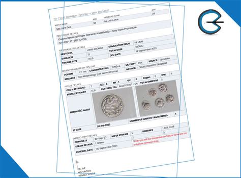Ivf Cycle Report Template Embryology And Ivf Training