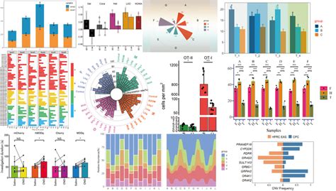 R可视化——一文带你打通ggplot2个性化绘制柱状图（条形图）！！！ 知乎
