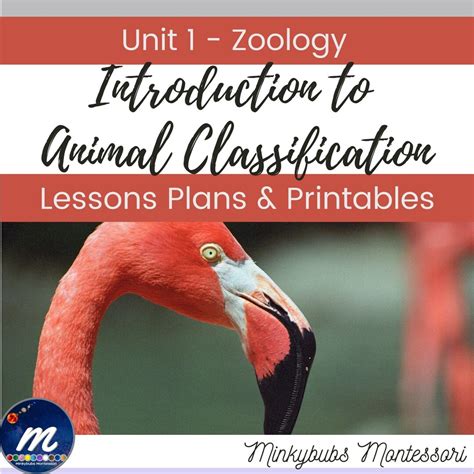 Zoology Classification Of Animals Montessori Manual Resources Etsy