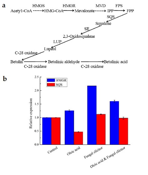 A Ba Biosynthetic Pathway In I Obliquus Dashed Lines Represent Download Scientific Diagram
