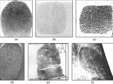 指纹识别综述1 导论fvc指纹 Csdn博客