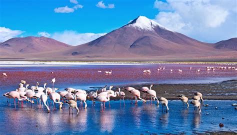 Welcome To Bolivia