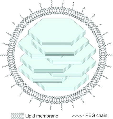 Proposed Structure Of Pegylated Phospholipid Coated Layered Double Download Scientific Diagram
