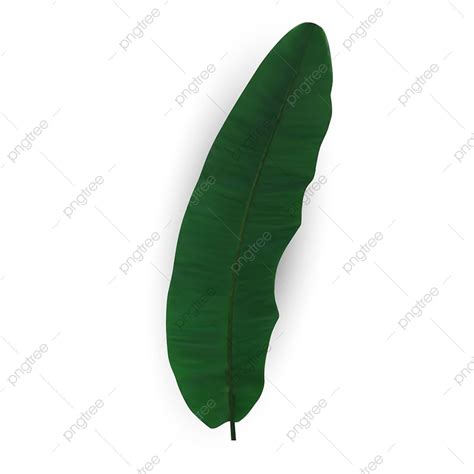 아름 다운 야자수 잎 실루엣 배경 벡터 일러스트 레이 션 아름다움 수평선 부시 Png 일러스트 및 벡터 에 대한 무료 다운로드 Pngtree